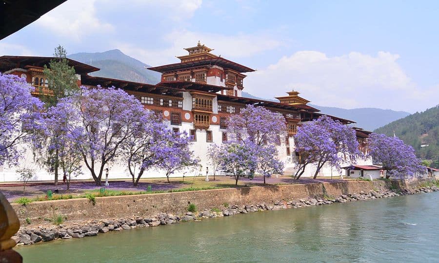 Top 10 Things to Do in Punakha Best Attractions & Activities