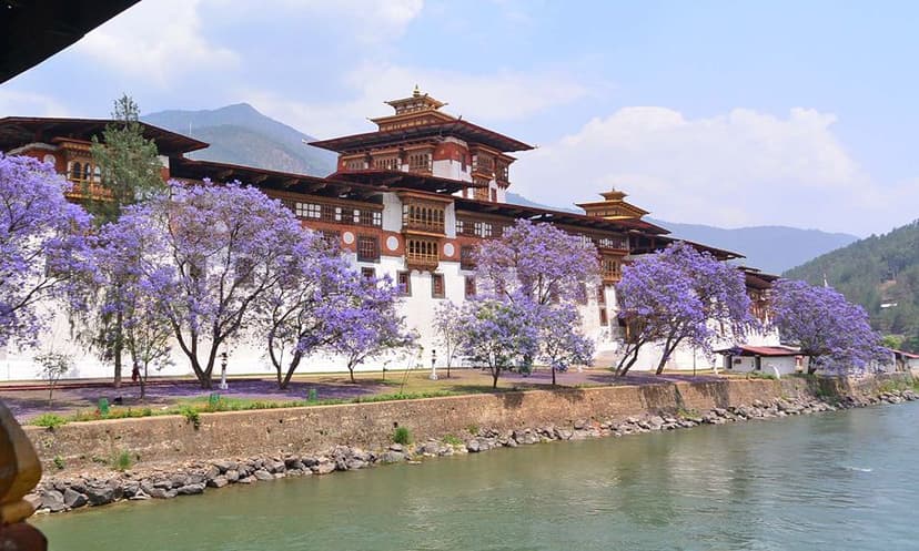 Top 10 Things to Do in Punakha Best Attractions & Activities